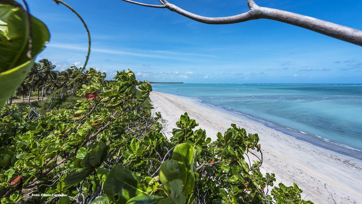 Praias brasileiras recebem premiação internacional de qualidade ambiental Praias brasileiras recebem premiação internacional de qualidade ambiental